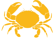 Our Finest Mud Crab & Seafood Menu | Ministry of Crab