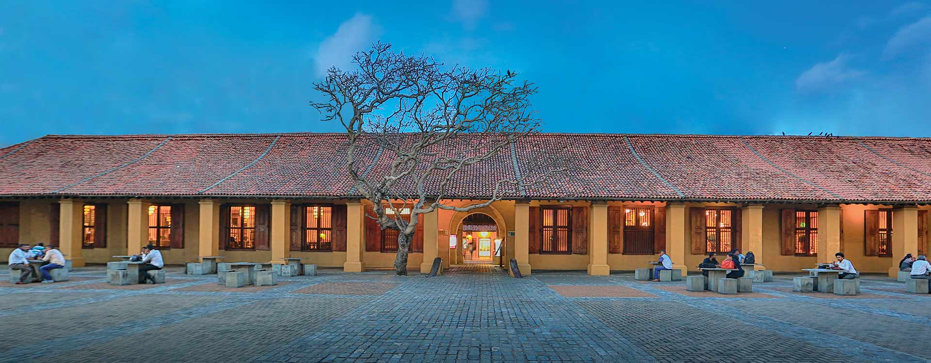 Elevating Seafood Dining in Sri Lanka | Ministry of Crab